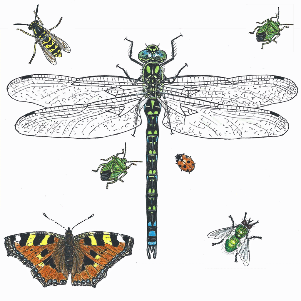 Arthropedia - What are Arthropods?